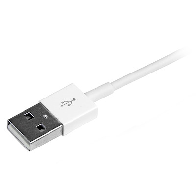 1m White Slim Lightning to USB Cable - Lightning Cables | Italy